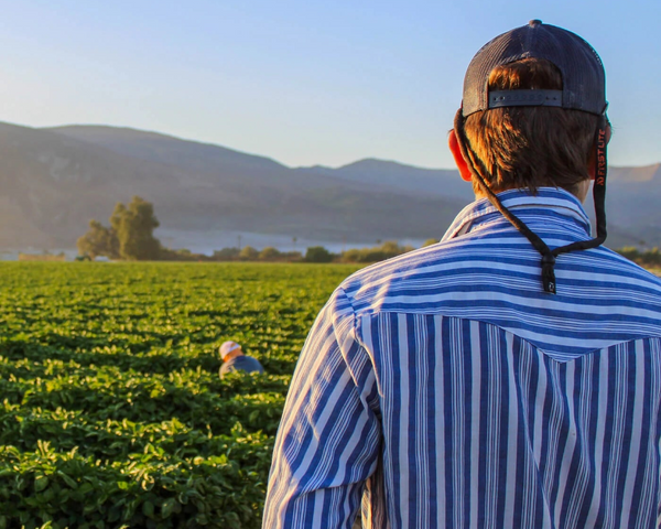 Careers – Prime Time Produce