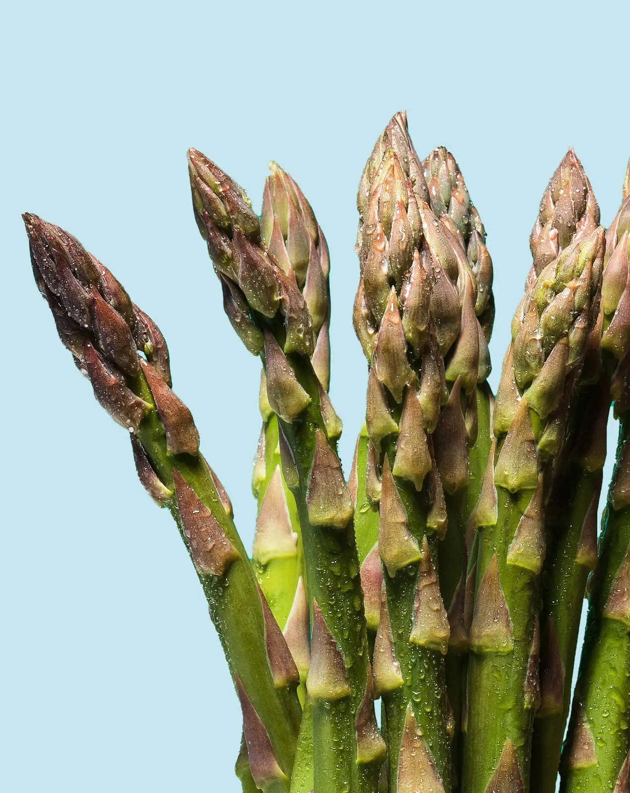 Asparagus – Prime Time Produce